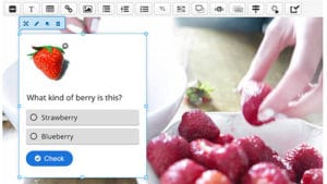 The Best 25 Interactive Video Software and Platforms in 2025
